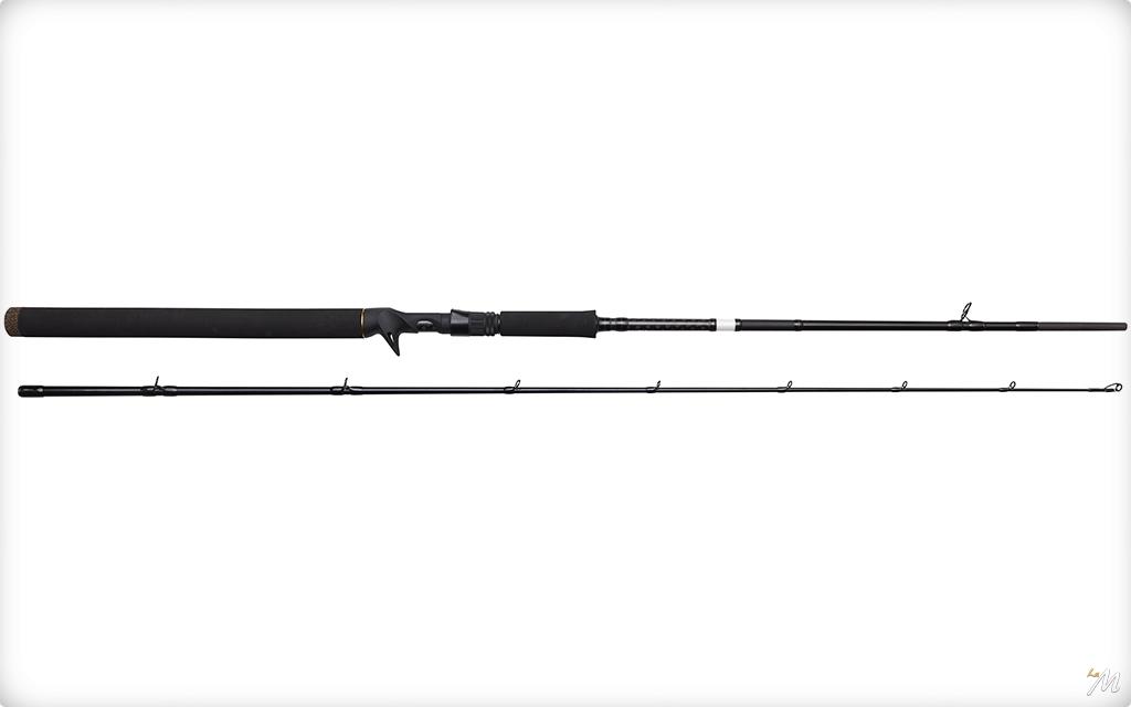Savage Gear SG2 Jerk Specialist Canne Pesca Spinning Casting Lago Fiume Luccio