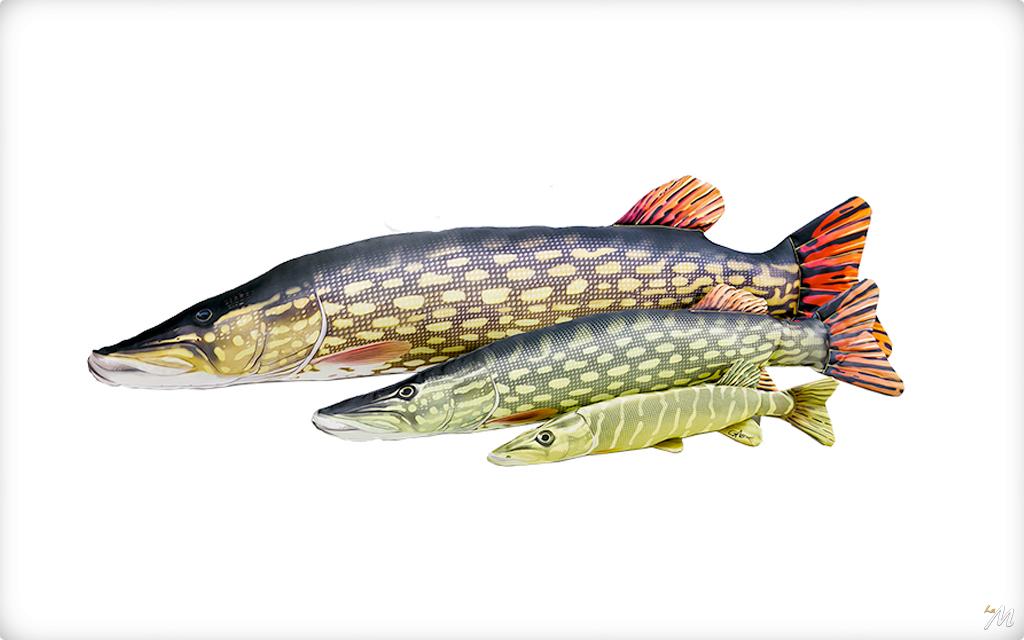 La Mincio - Dal 1982 The Fishing Specialist - Cuscino Luccio