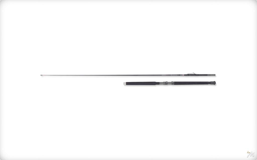 Canna Daiwa Pesca Siluro Clonck Filo Interno Offerta