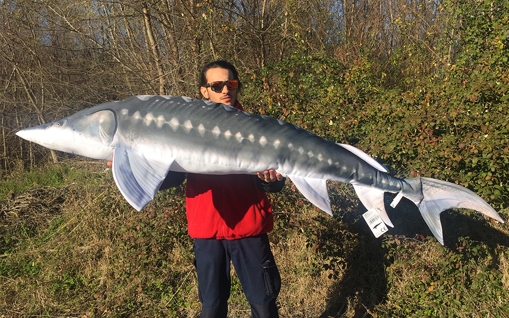 Gaby Cuscino Storione World Record Pesca Articoli Regalo